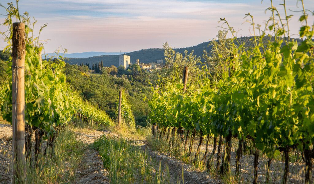 Chianti private tour - Camminarte in Toscana official tour guide