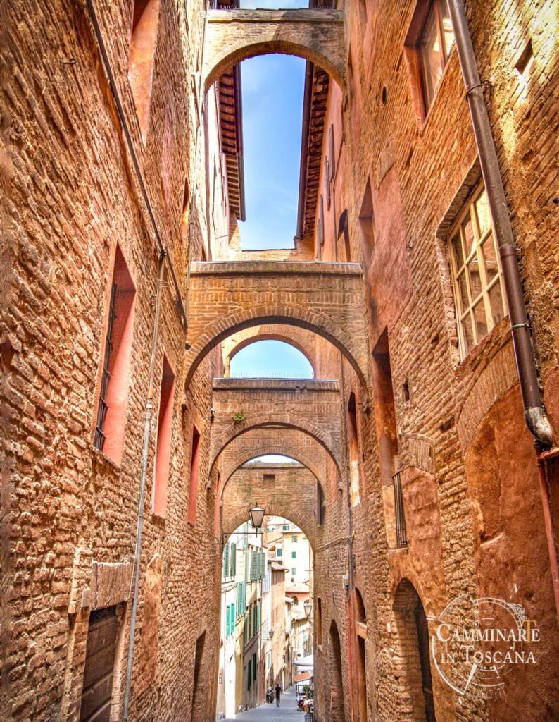 Siena Guided Walking Tour - Private Guide of Siena